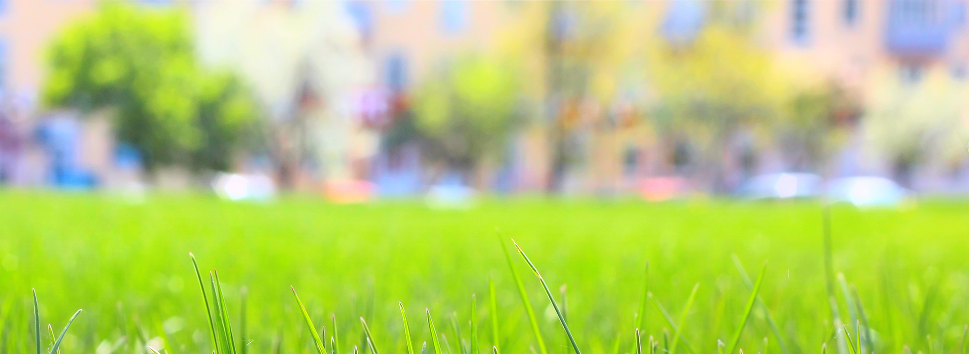 Green Streets - Come Alive Outside